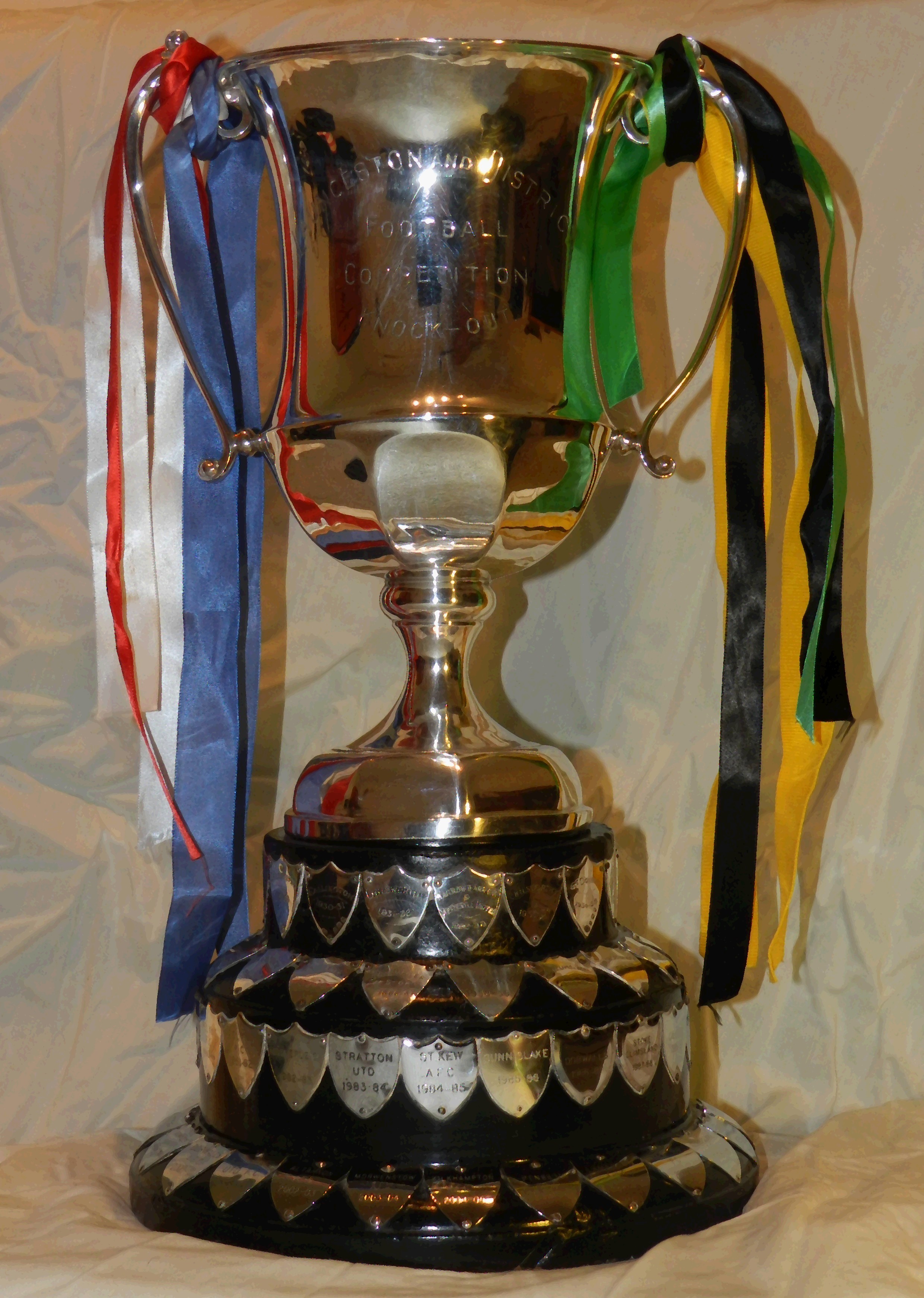 Follow @LauncestonCup